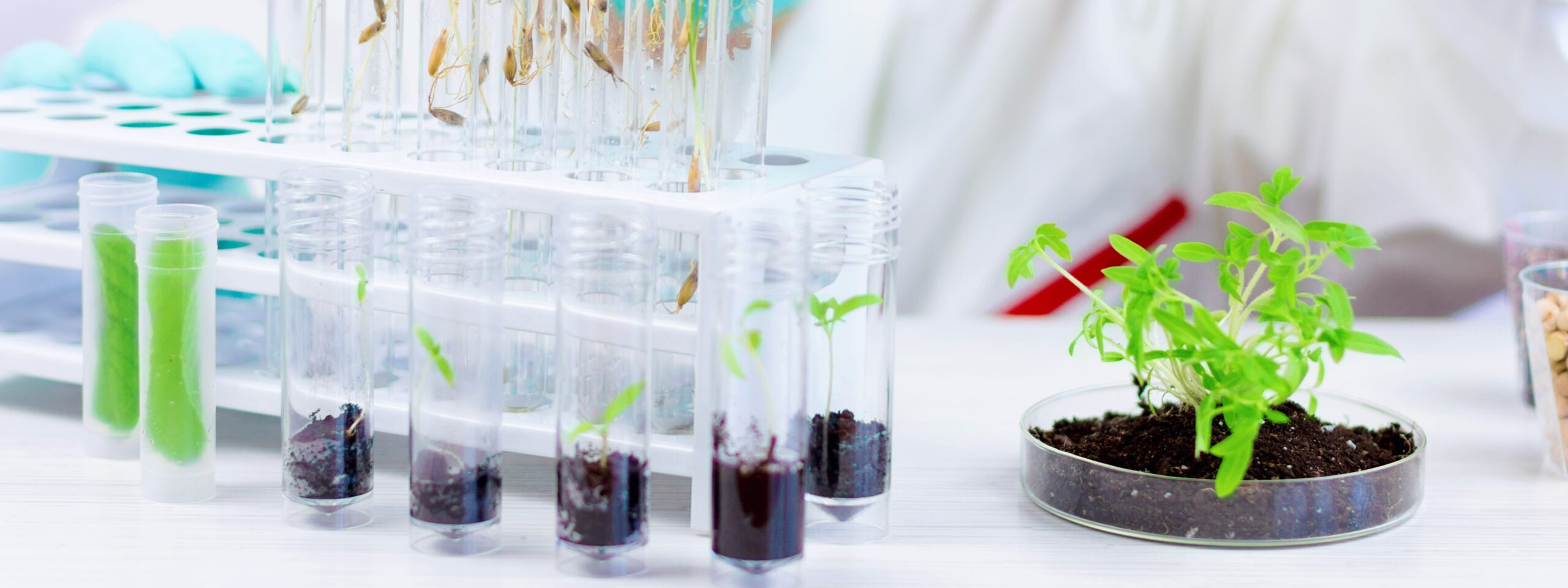 Environmental Laboratory Analysis Environmental Service